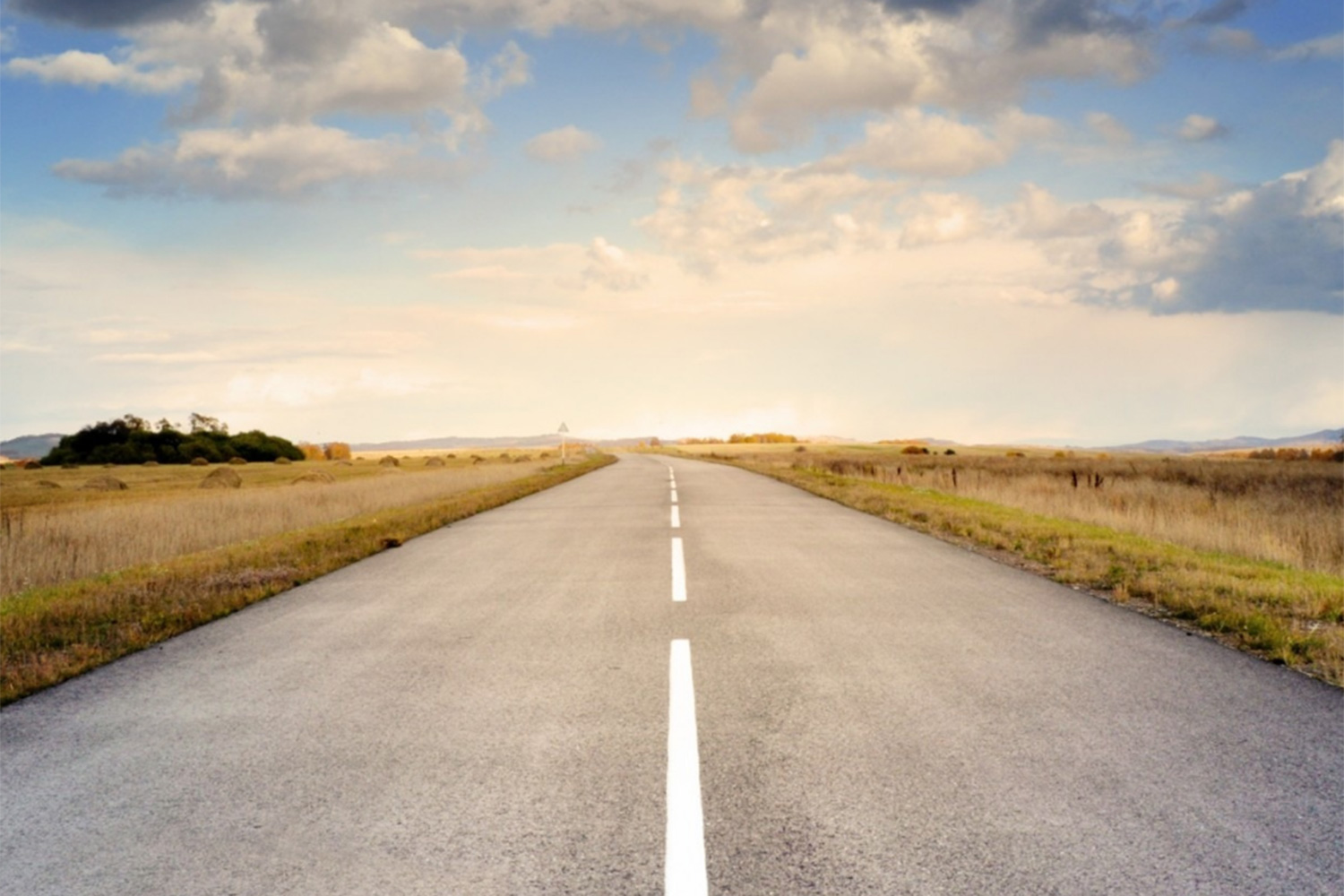 Mark & Ellen - Bravery Trust